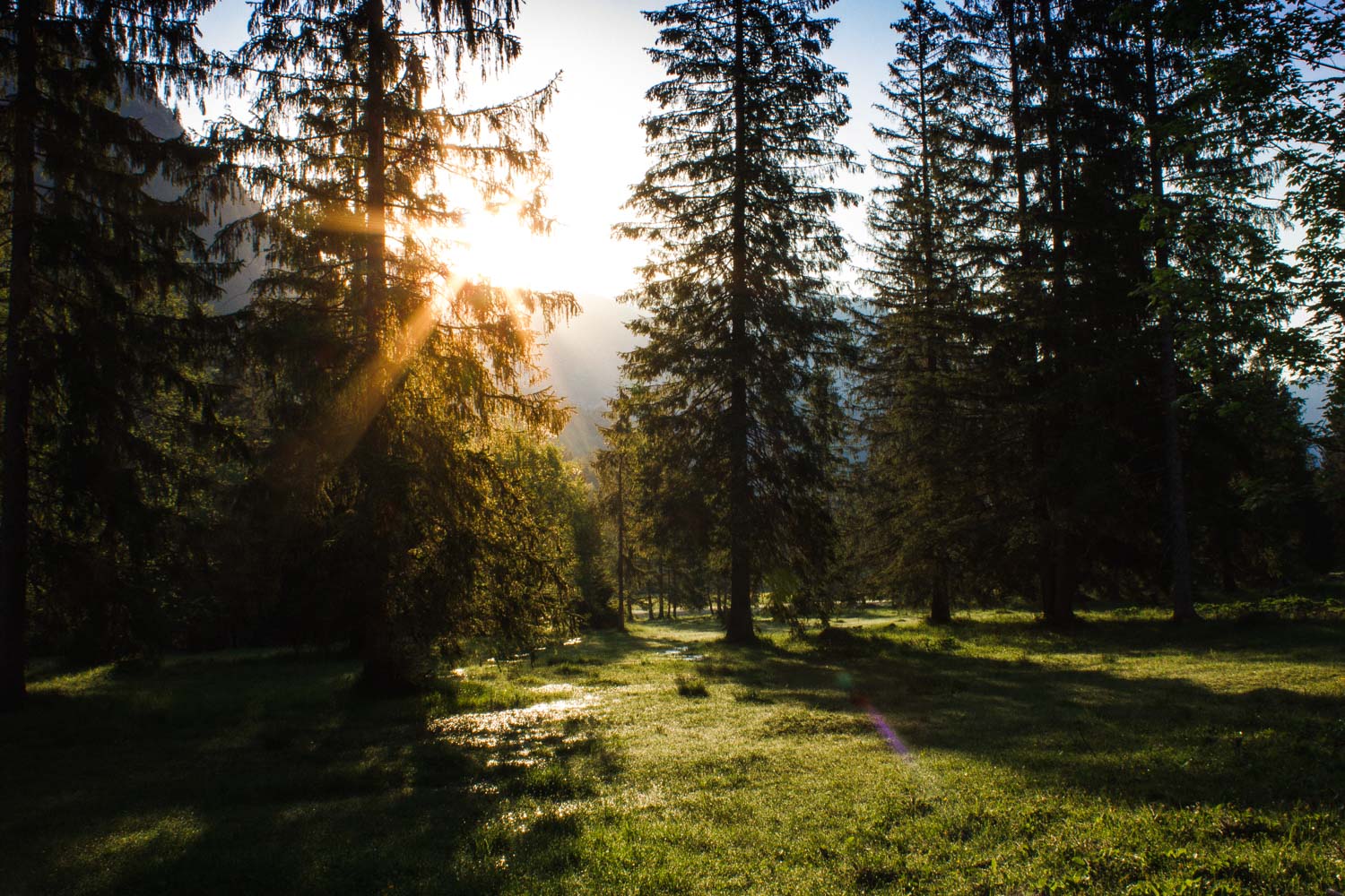 Travelguide: Am Achensee Wandern | Achensee Tourismus x The Dorie – The ...